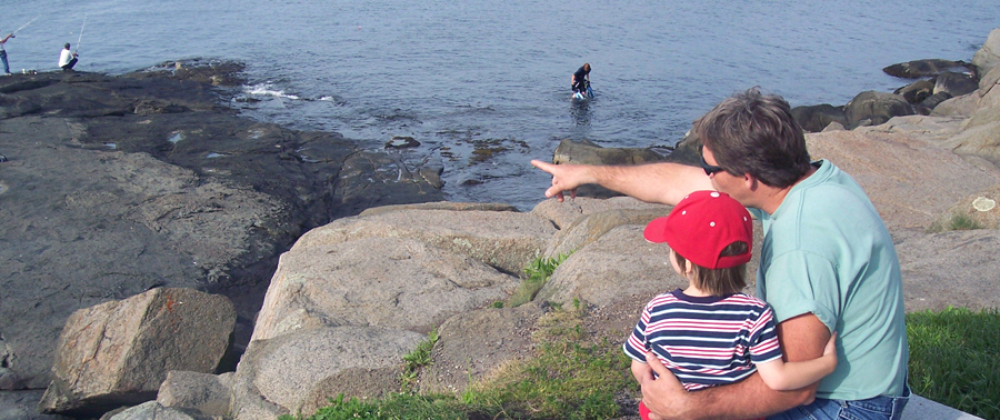 Home [www.maineinsuranceonline.com]