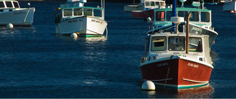 Home [www.maineinsuranceonline.com]